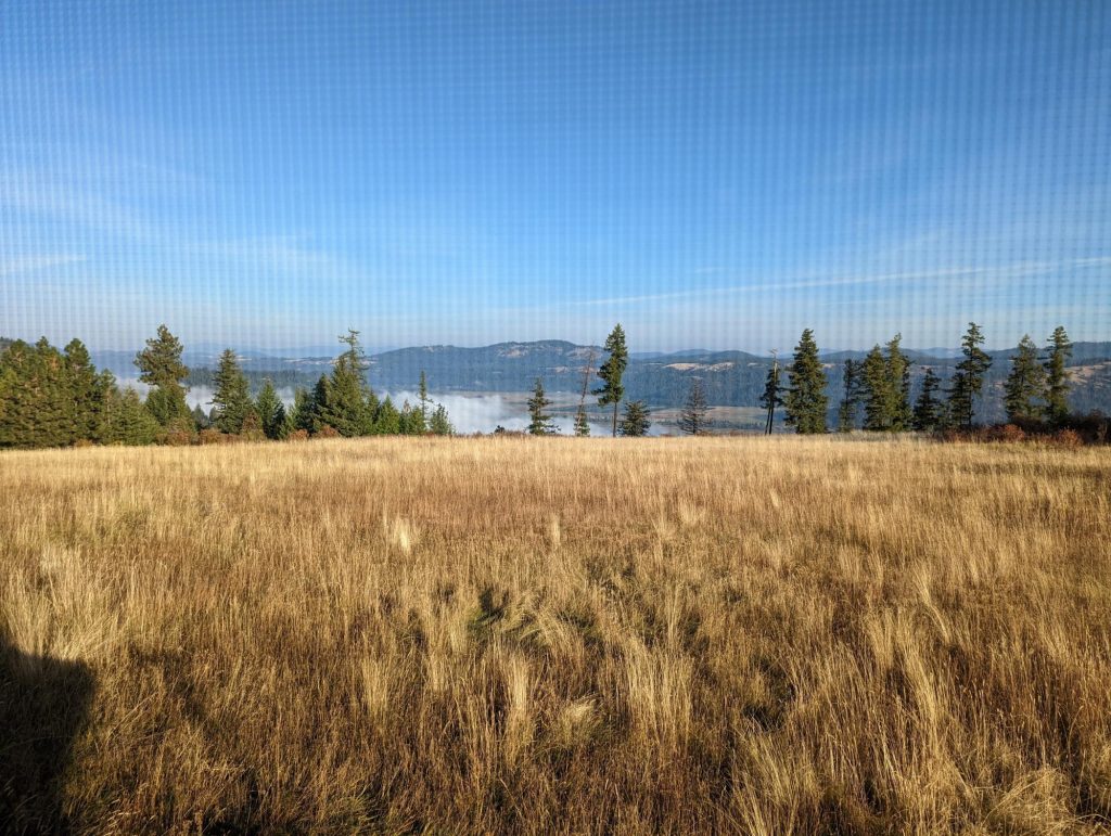 AAR: PRESSCHECK CONSULTING – taskernetwork.com