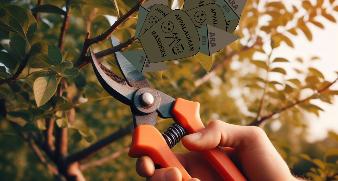 Tasker Report – taskernetwork.com